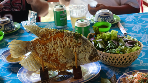 MEKONG DELTA 1 DAY TOUR | Cai Rang Floating Market - My Tho - Ben Tre ...